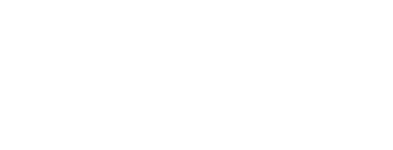 Rosa Flora Pride In Every Petal