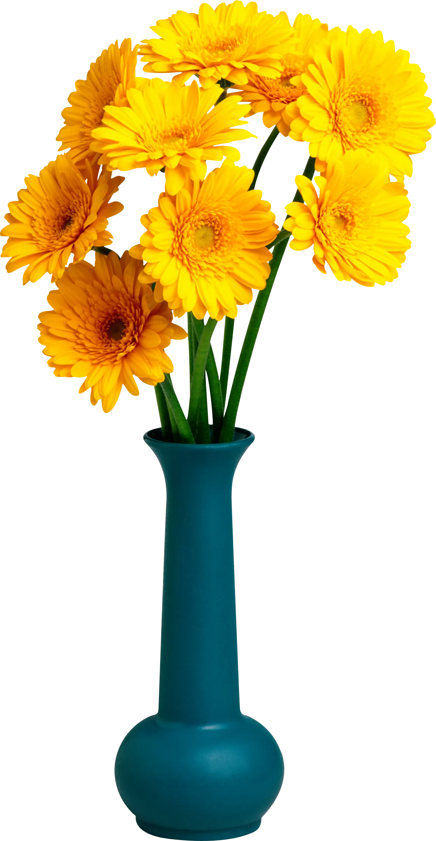 blue vase filled with yellow gerberas